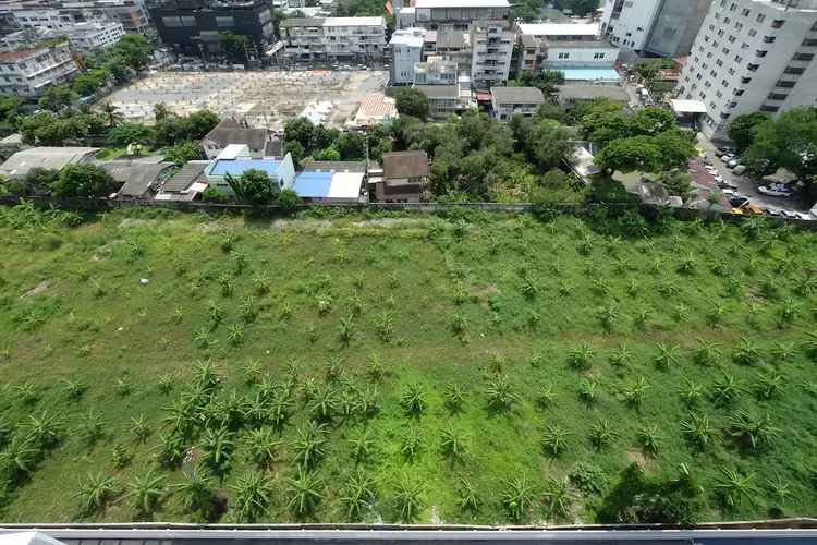 เปิดลิสต์พืช 57 ชนิด ปลูกแล้วช่วยลดภาระภาษีได้ หลังรัฐปรับราคาประเมิน ...